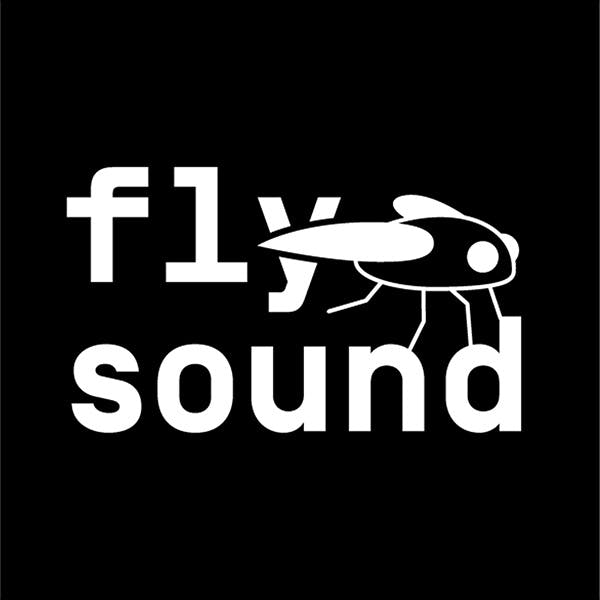Fly Sound - Sound Effects & Albums | Artlist