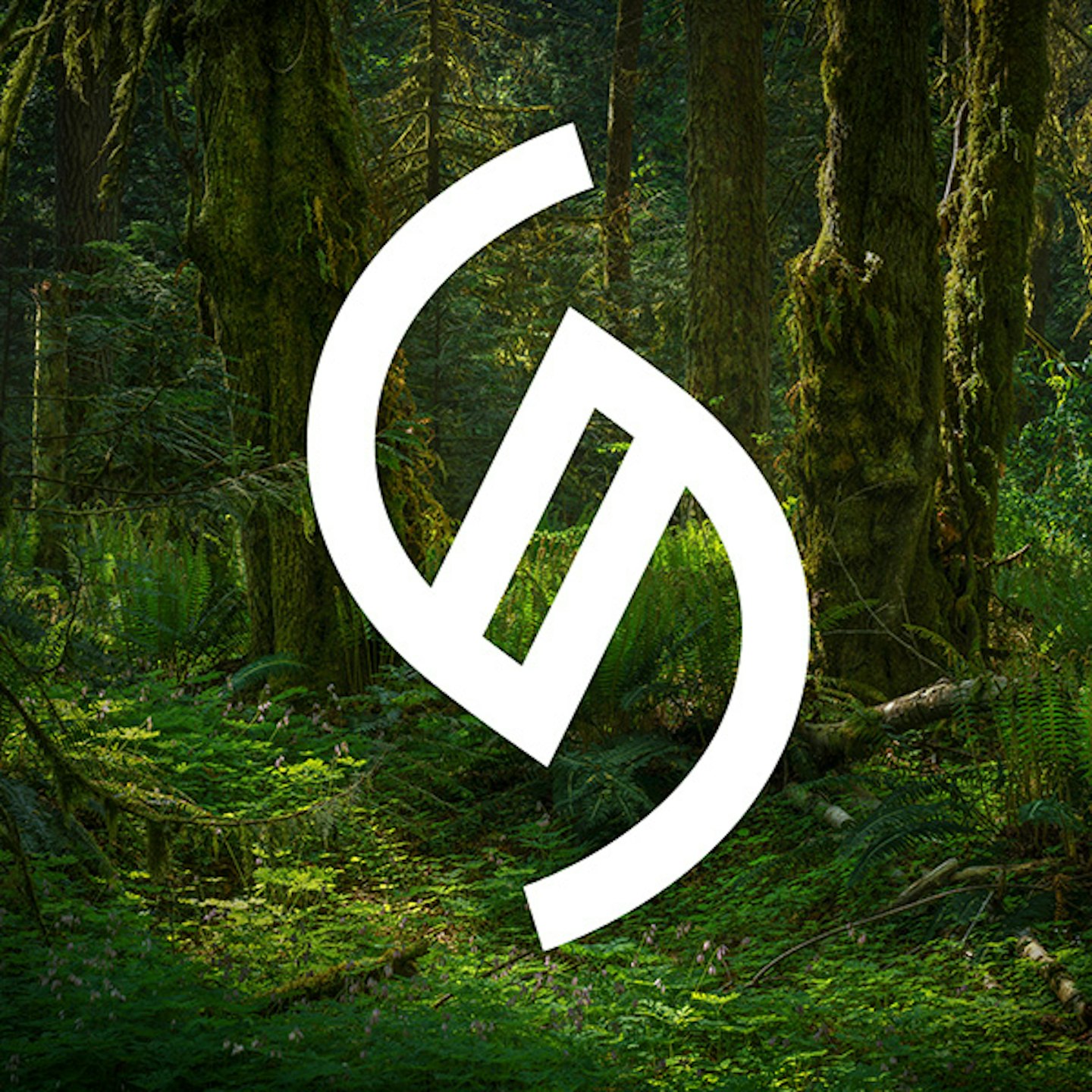 Immersive Foley - Sound Effects & Albums | Artlist