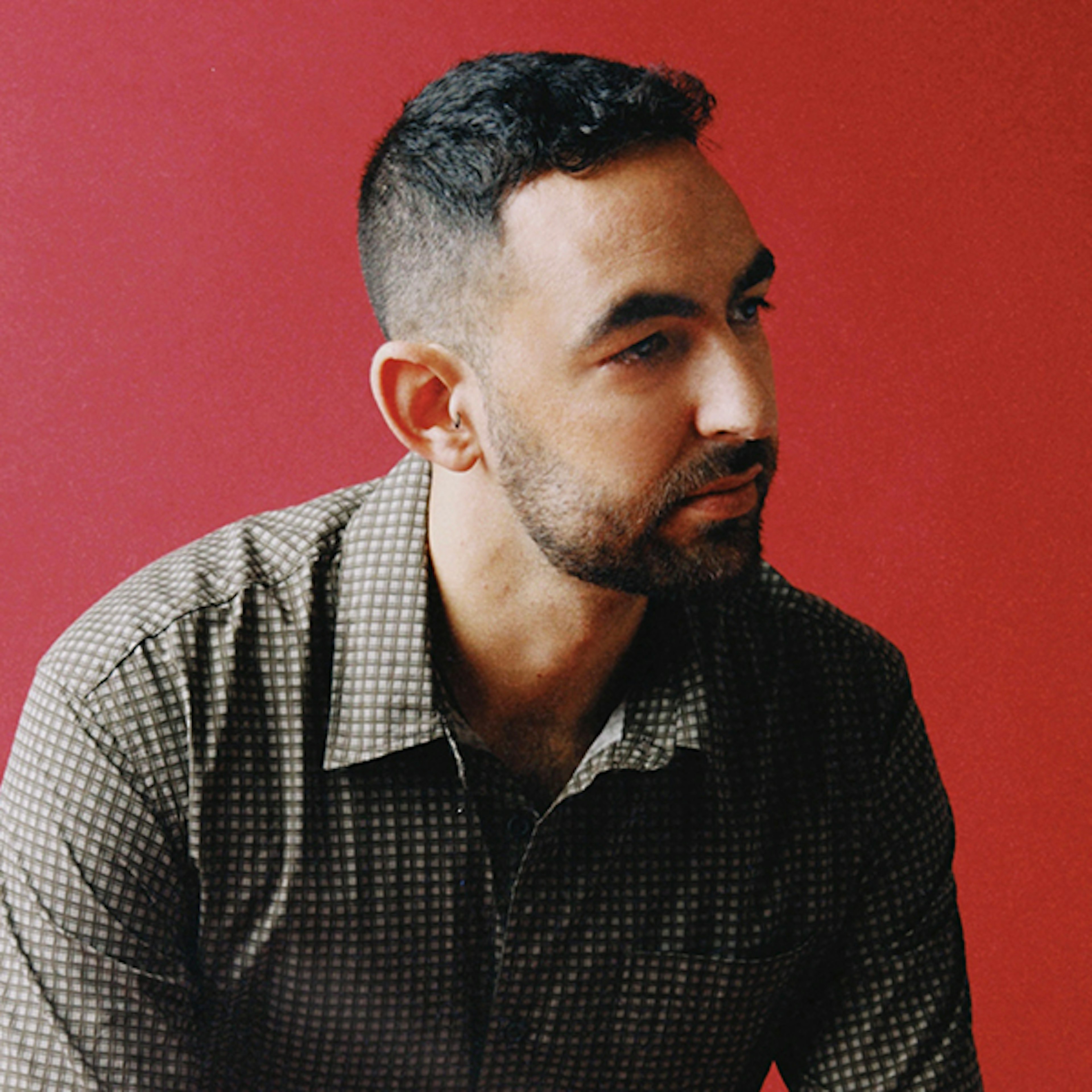 Sparrow Tree - Songs & Albums | Artlist